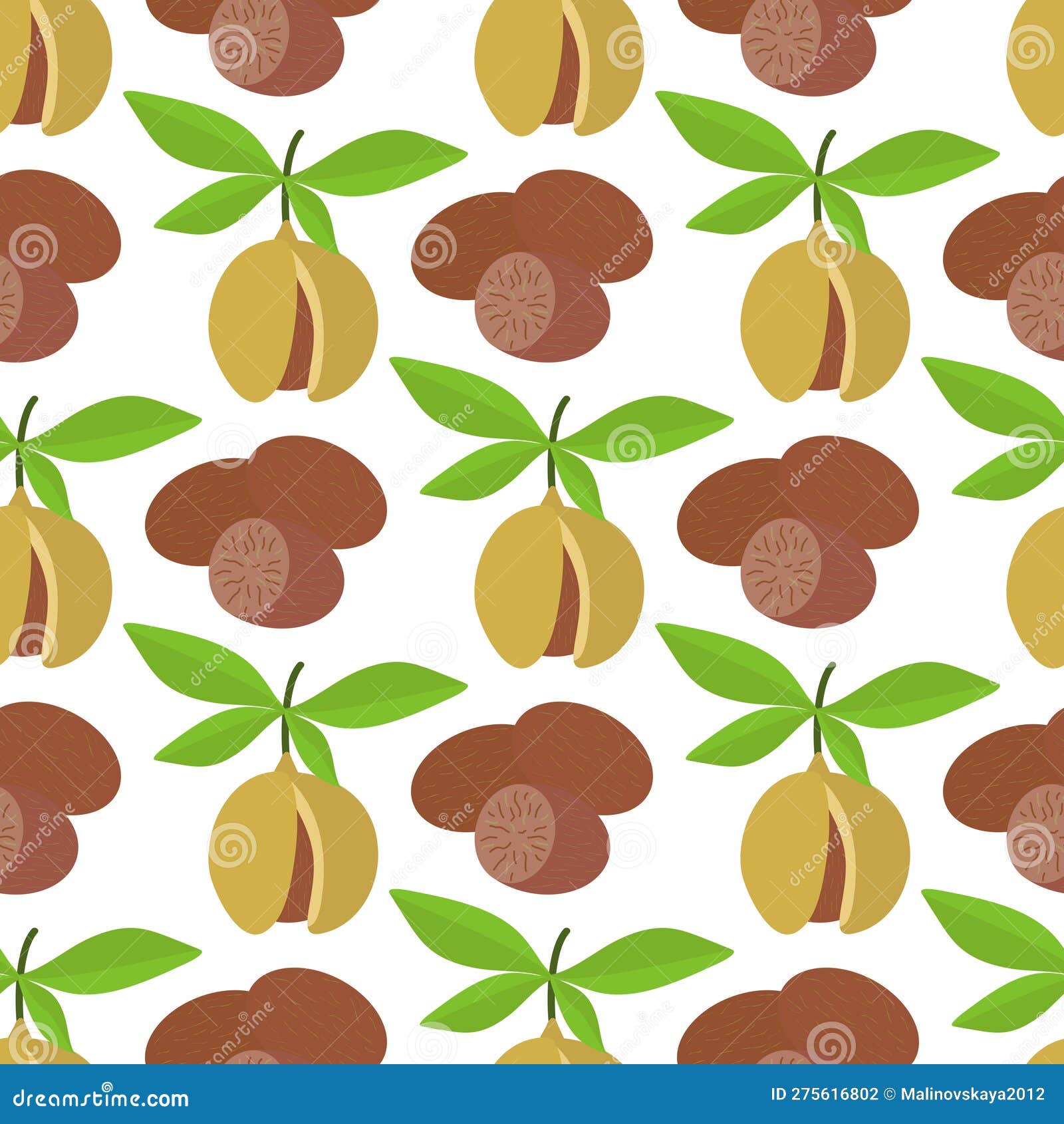 Nutmeg seamless pattern stock vector. Illustration of floral - 275616802
