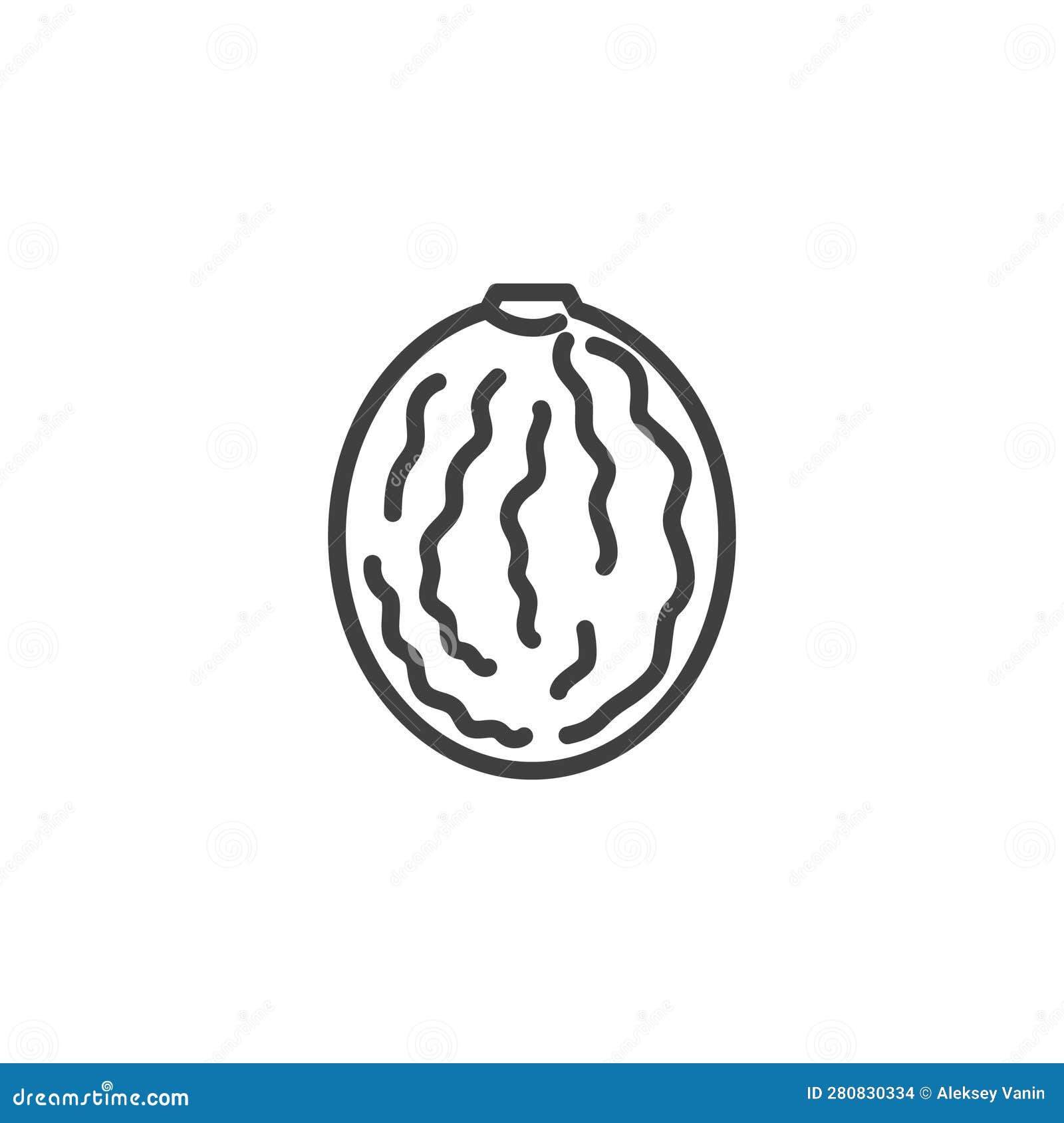 Nutmeg seed line icon stock vector. Illustration of pictogram - 280830334