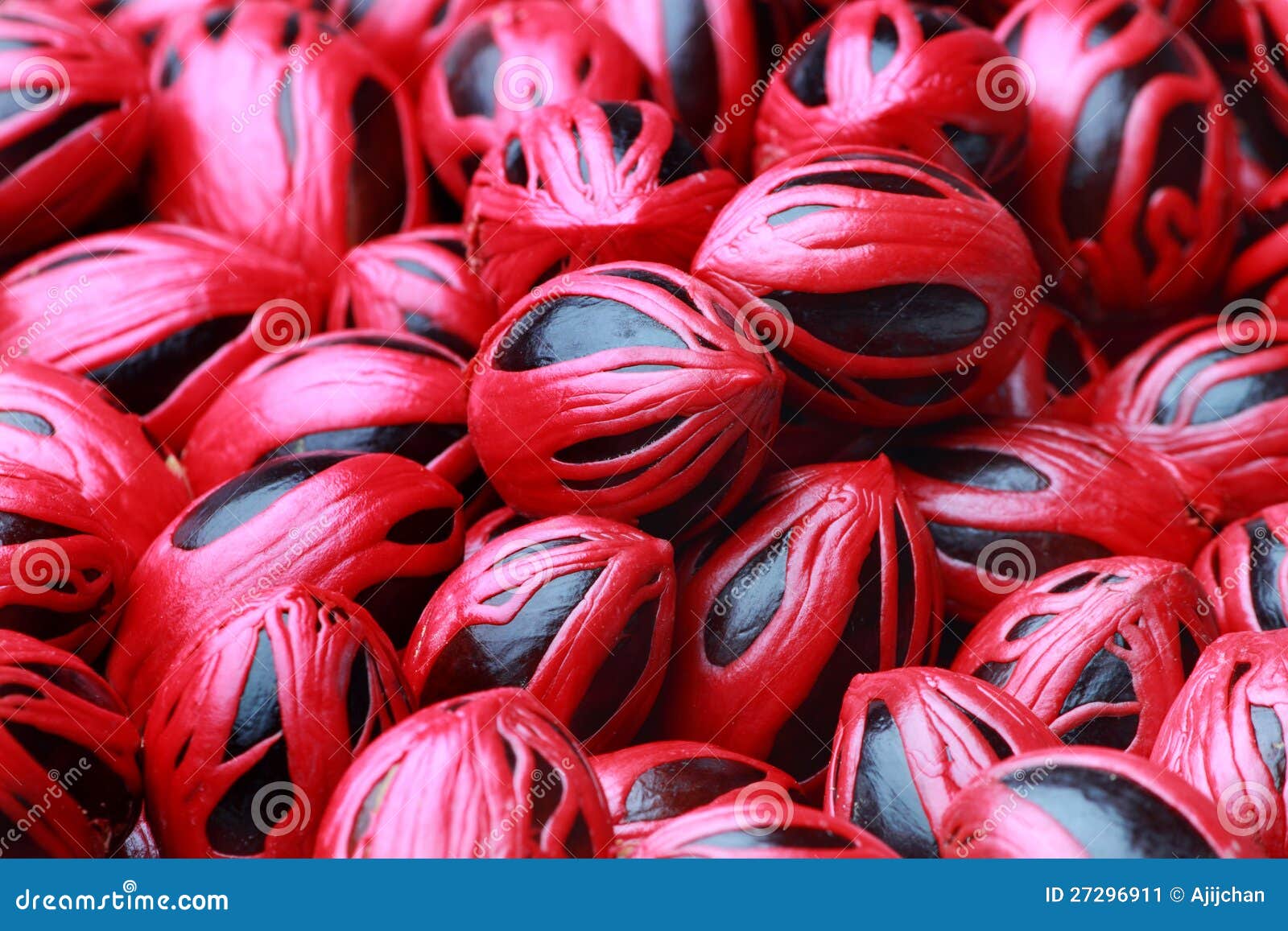 Nutmeg seeds stock image. Image of spice, fresh, gastronomic - 27296911