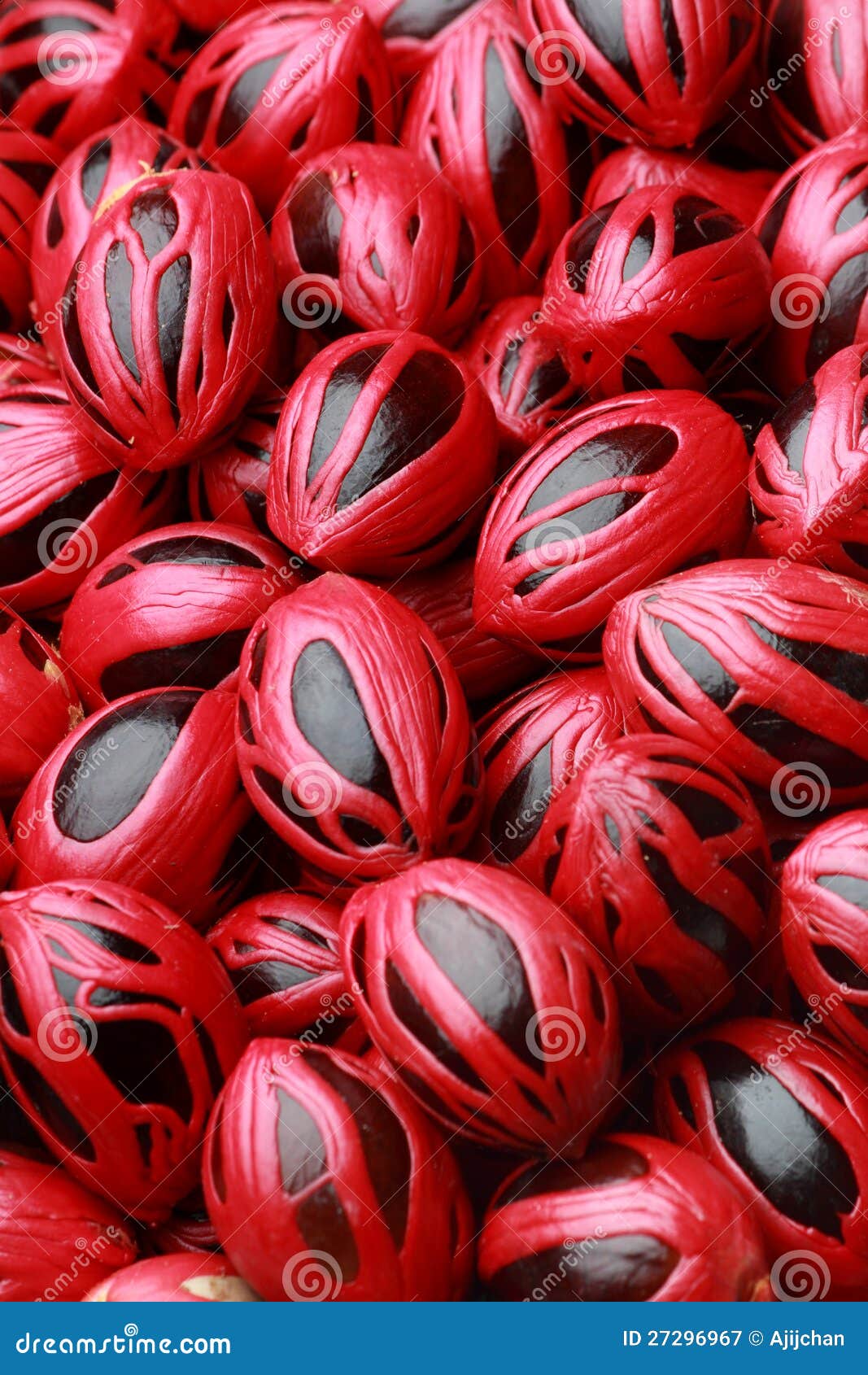 Nutmeg seeds stock image. Image of culinary, background - 27296967