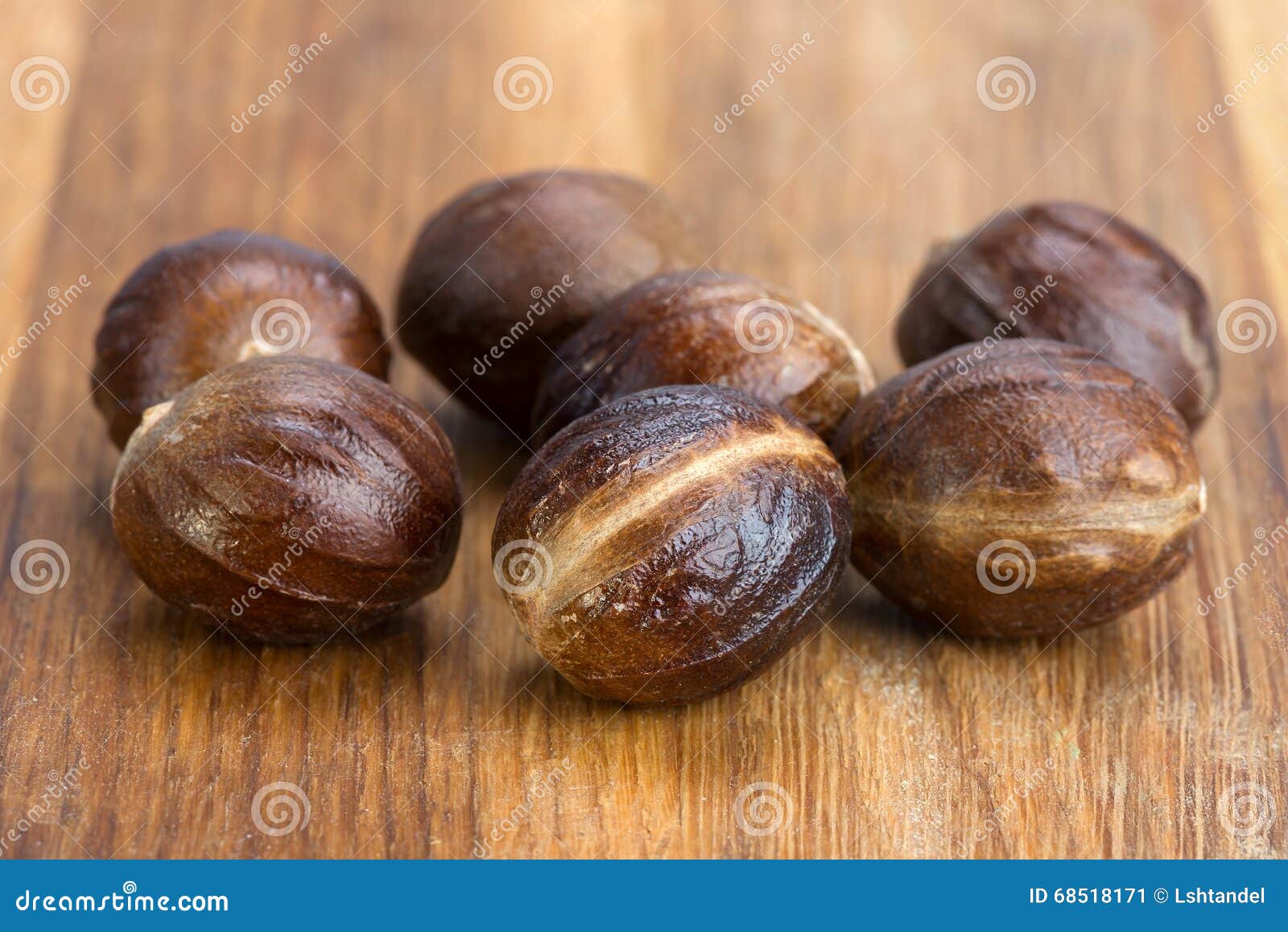 Nutmeg in a shell stock image. Image of tropics, seed - 68518171