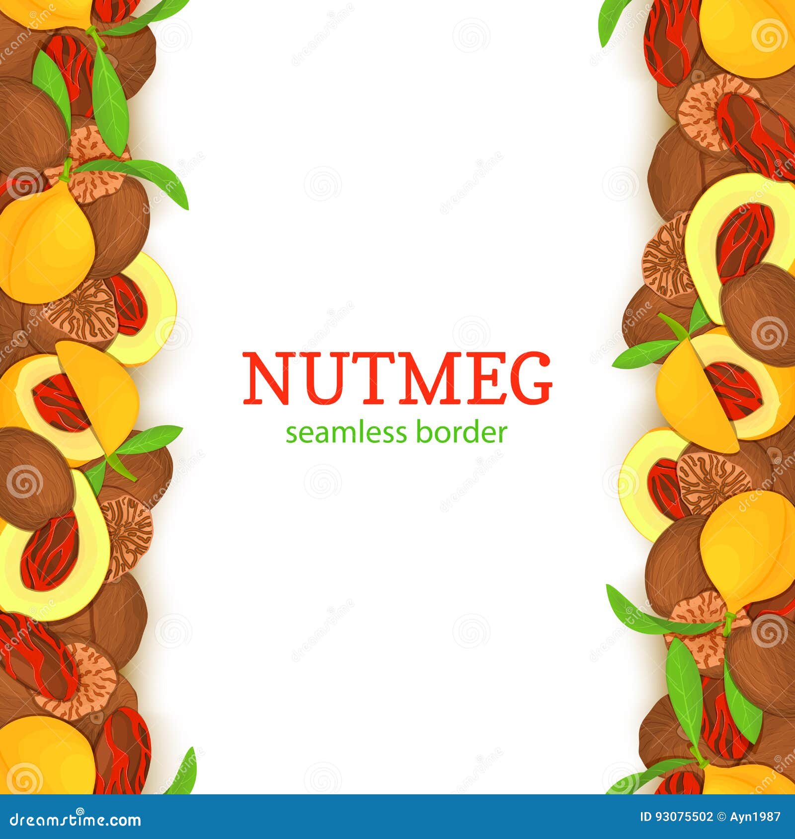 Nutmeg Spicy Verticall Seamless Border. Vector Card Illustration Stock ...