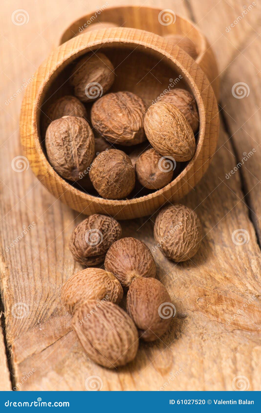 Nutmeg stock photo. Image of group, aroma, masqat, brown - 61027520