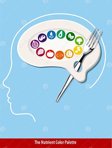 The Nutrient Color Palette Brain Shape Stock Vector - Illustration of ...