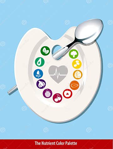 The Nutrient Color Palette Heart Shape Stock Vector - Illustration of ...