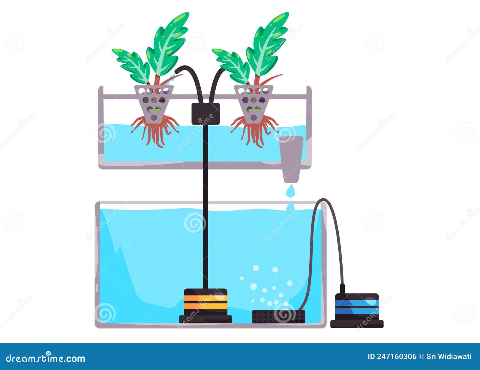 Shallow Technique Stock Illustrations – 17 Shallow Technique Stock ...