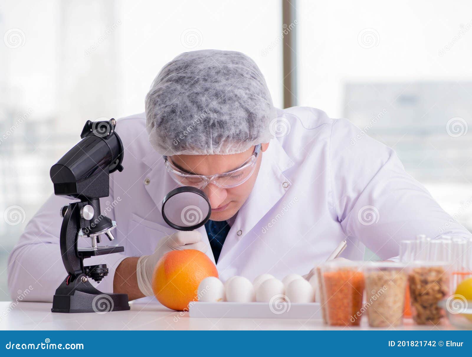 Nutrition Expert Testing Food Products in Lab Stock Photo - Image of ...