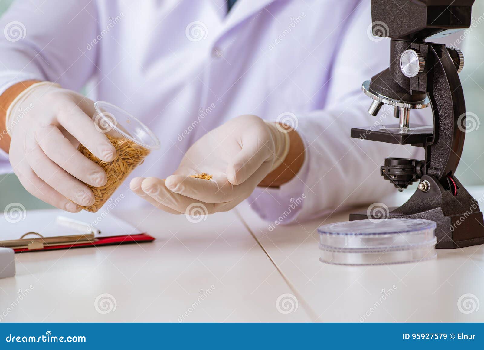 The Nutrition Expert Testing Food Products in Lab Stock Image - Image ...