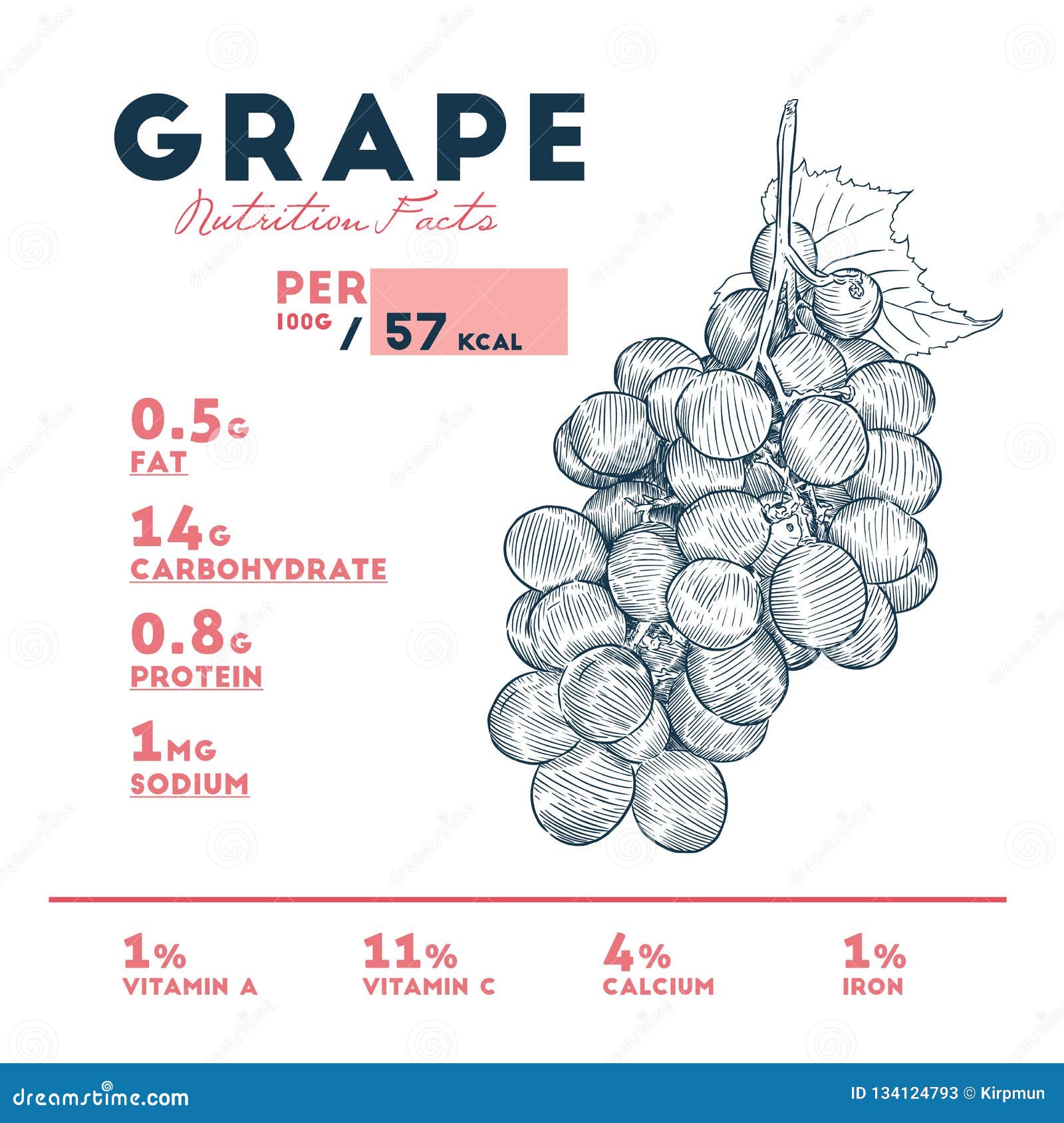 Grape Nutrition Facts Stock Photography | CartoonDealer.com #53686538