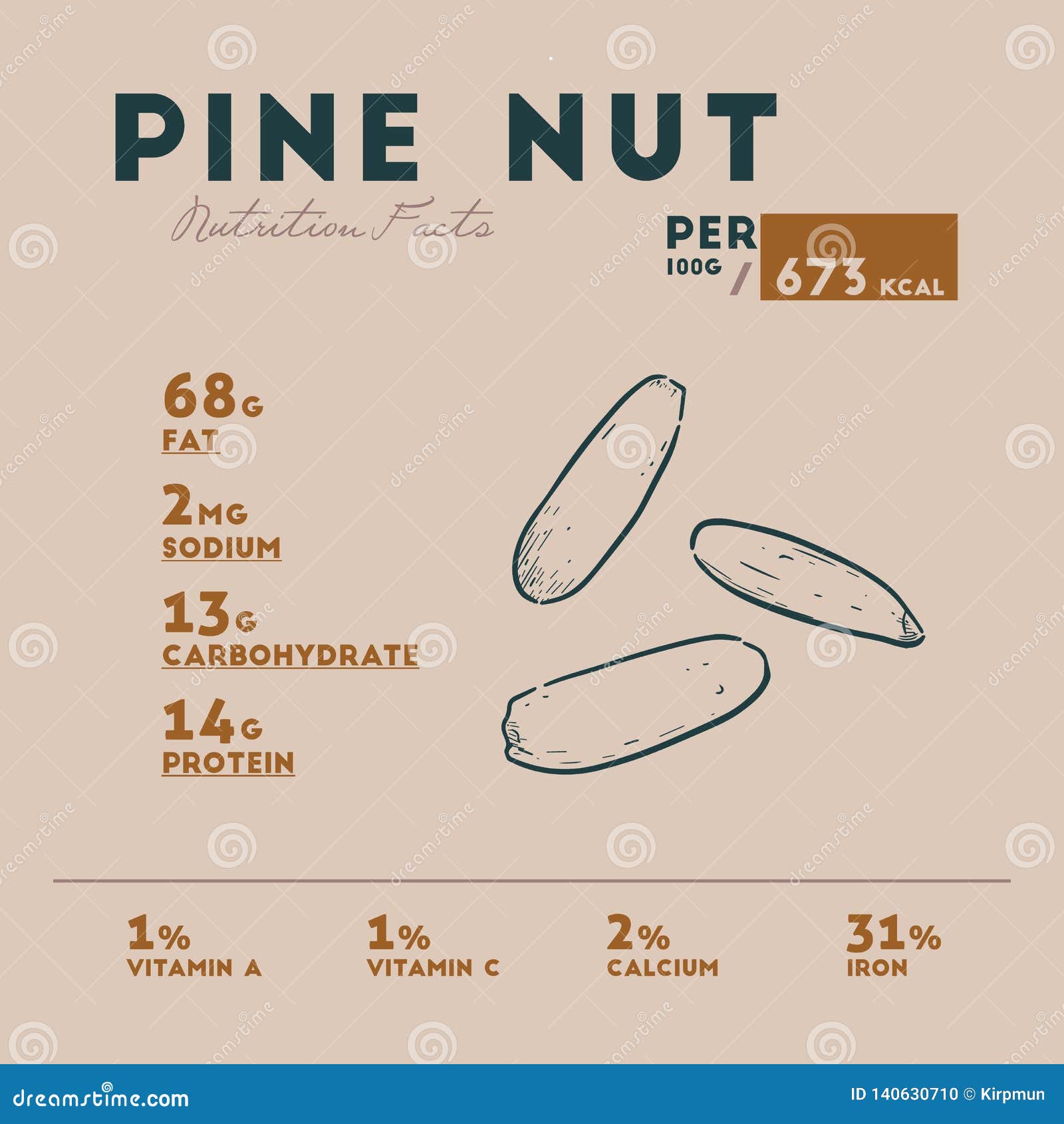 Nutrition Facts of Pine Nut, Hand Draw Vector Stock Vector ...