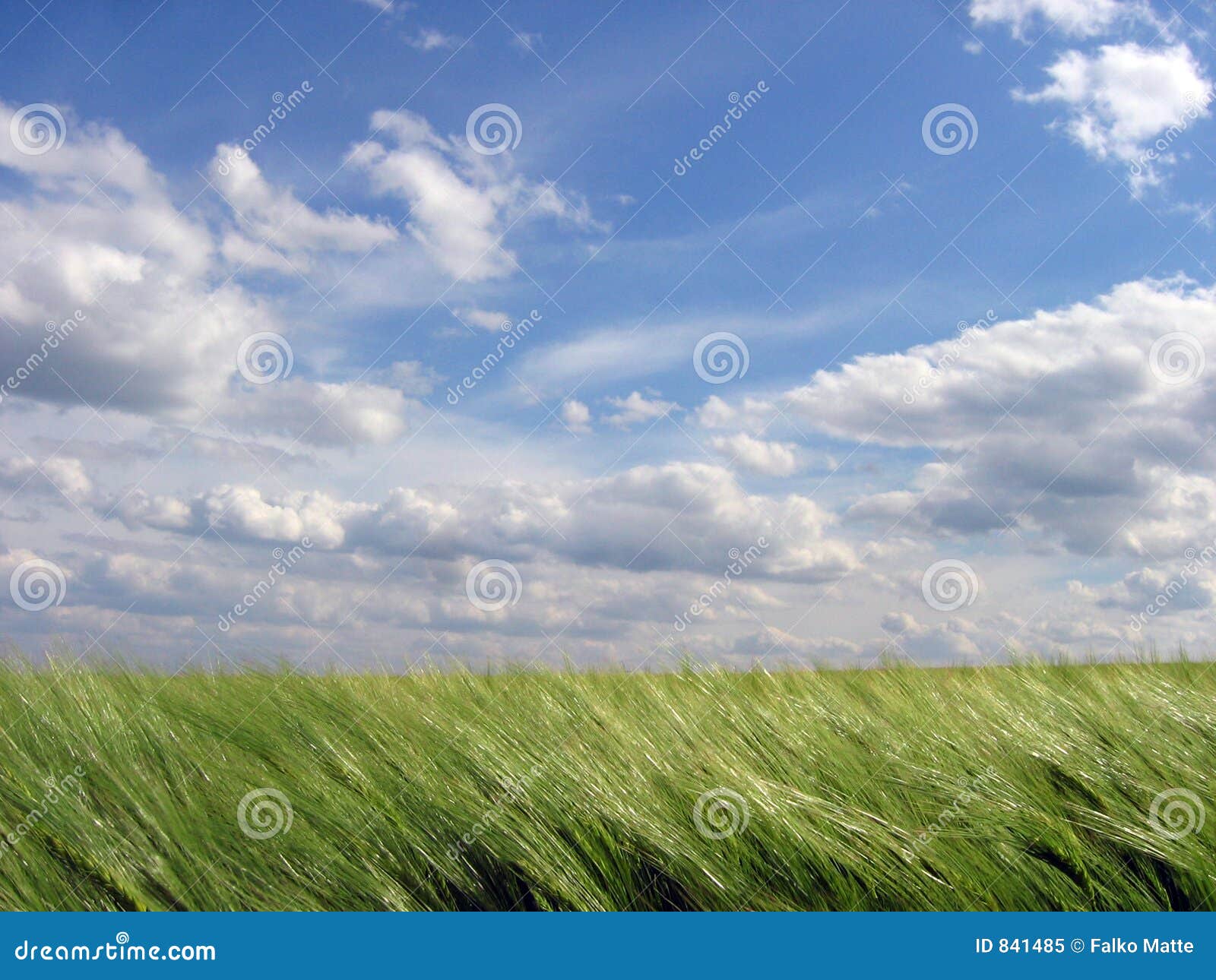 Nutrition field stock image. Image of nutrition, harvest - 841485