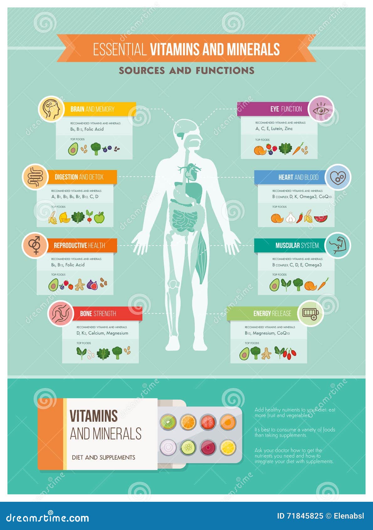 Nutrition And Health Stock Vector Illustration Of Bone 71845825