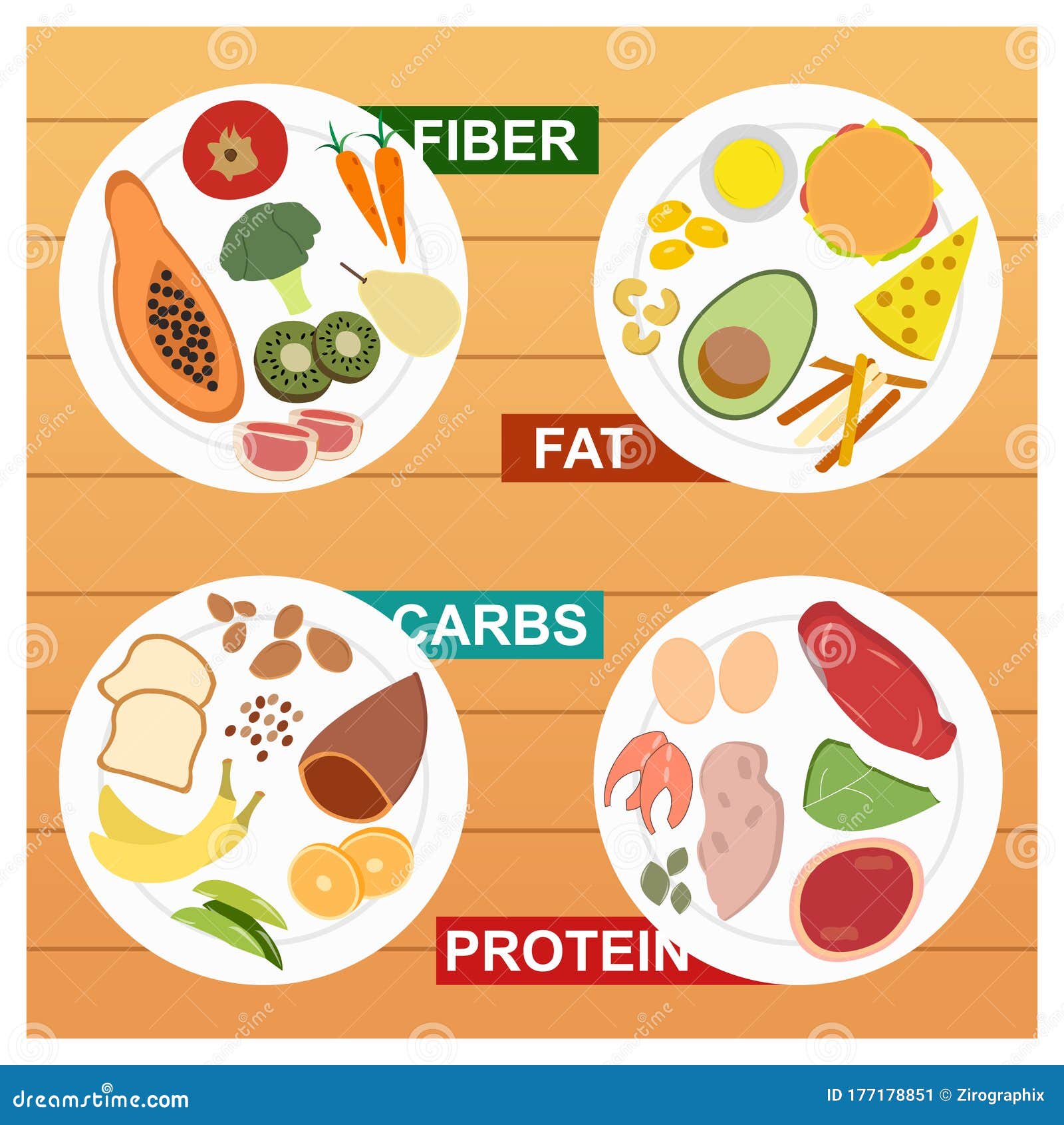 My Plate Diet Nutrition Guide Cartoon Vector | CartoonDealer.com #21538543