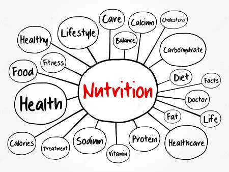 Nutrition Mind Map Flowchart Stock Illustration - Illustration of ...