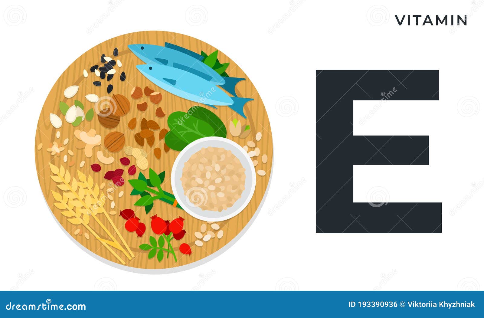 The Nutritional Components Vitamin E Vector Illustrations in Flat Style ...