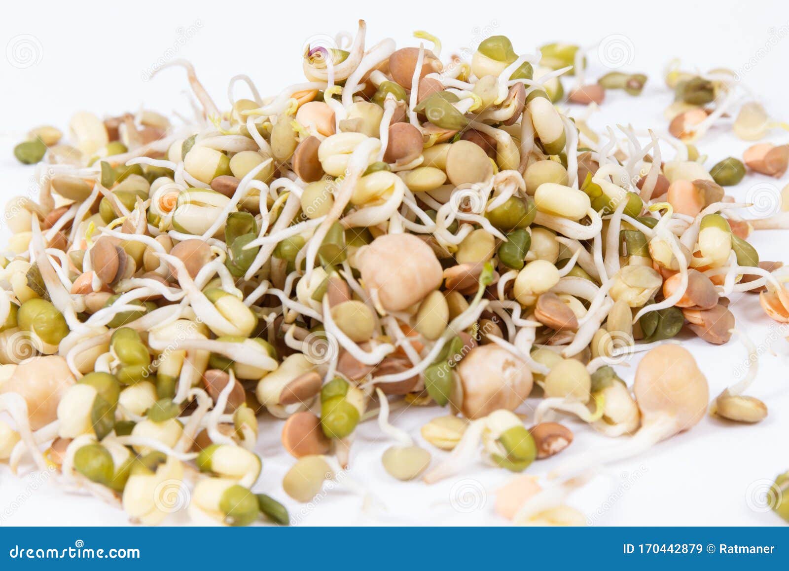 Nutritious Different Sprouts As Source Vitamins and Minerals. Healthy ...