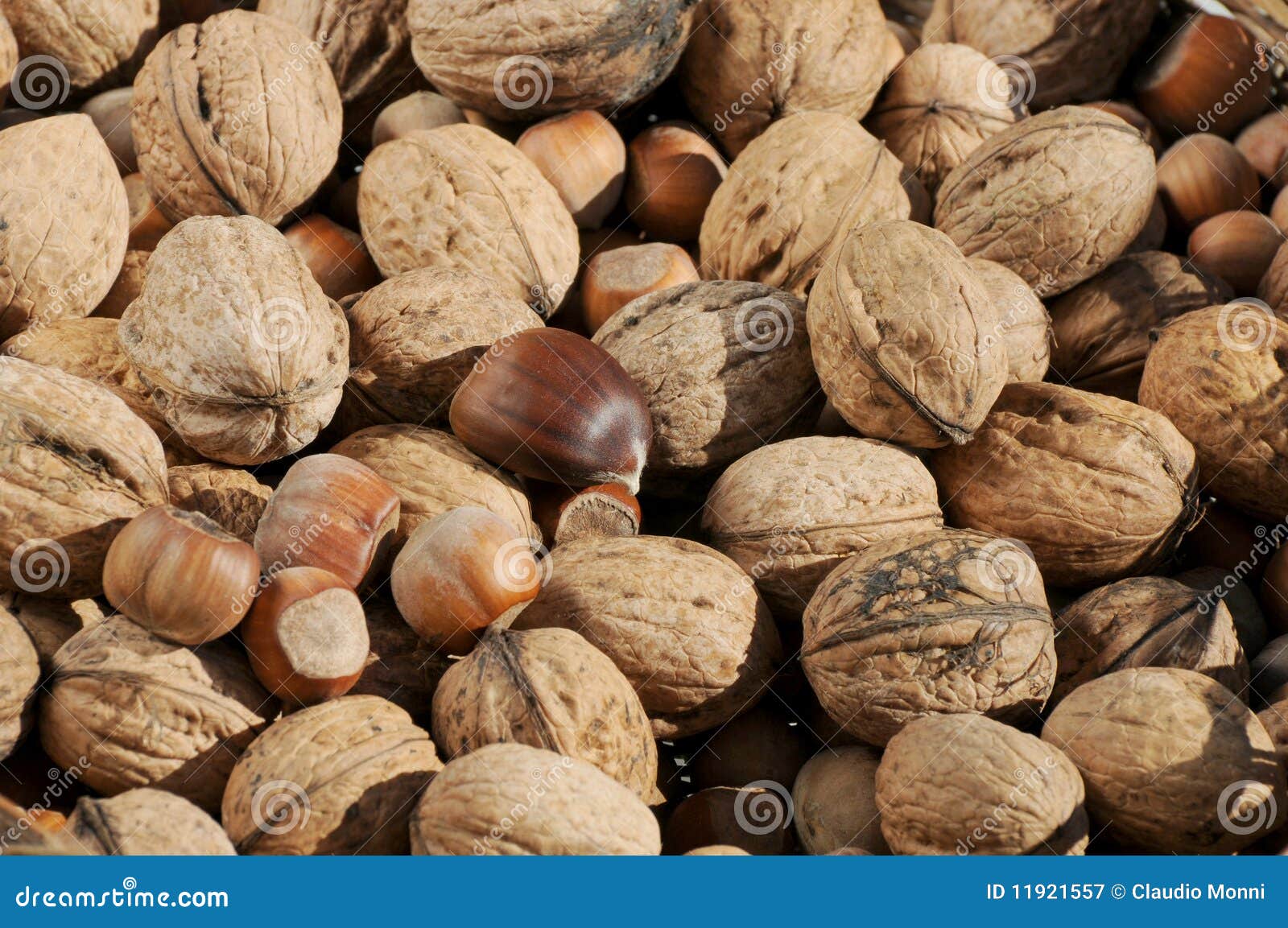 Nuts stock image. Image of comestible, little, nutriment - 11921557