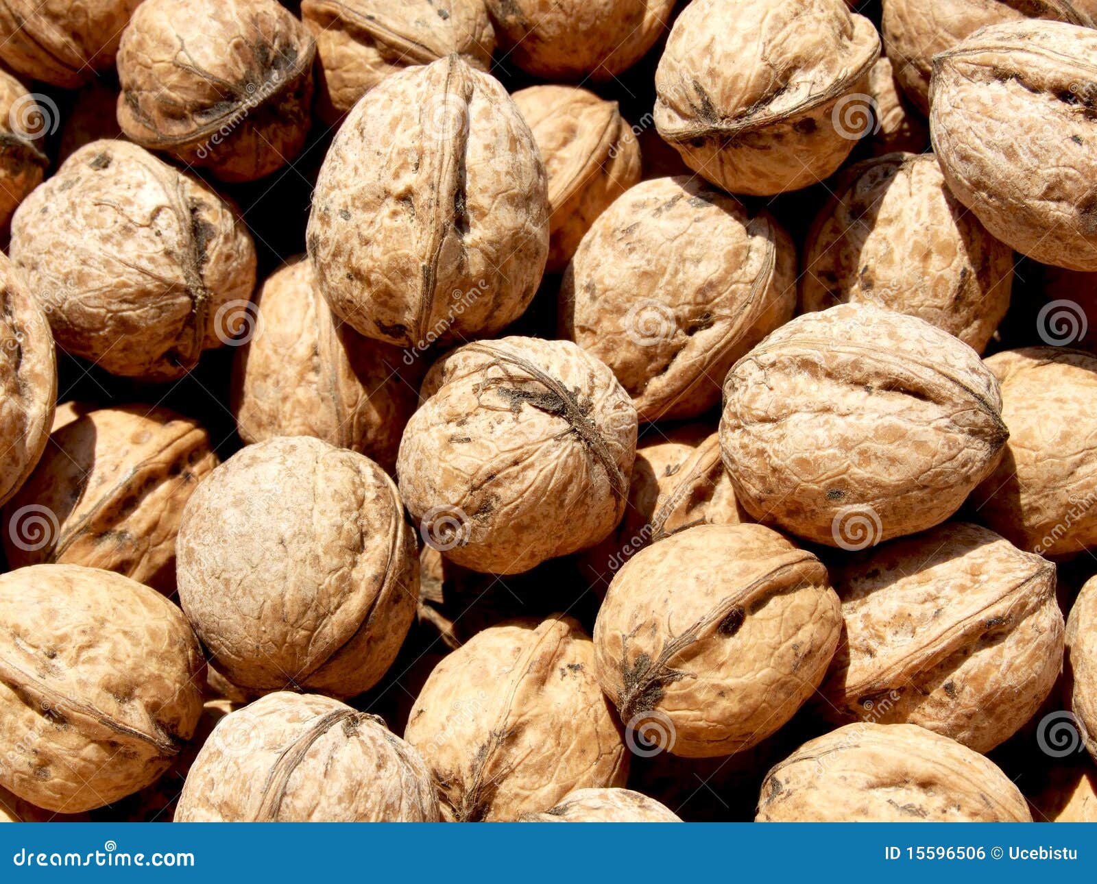 Nuts stock photo. Image of natural, closeup, food, nuts - 15596506