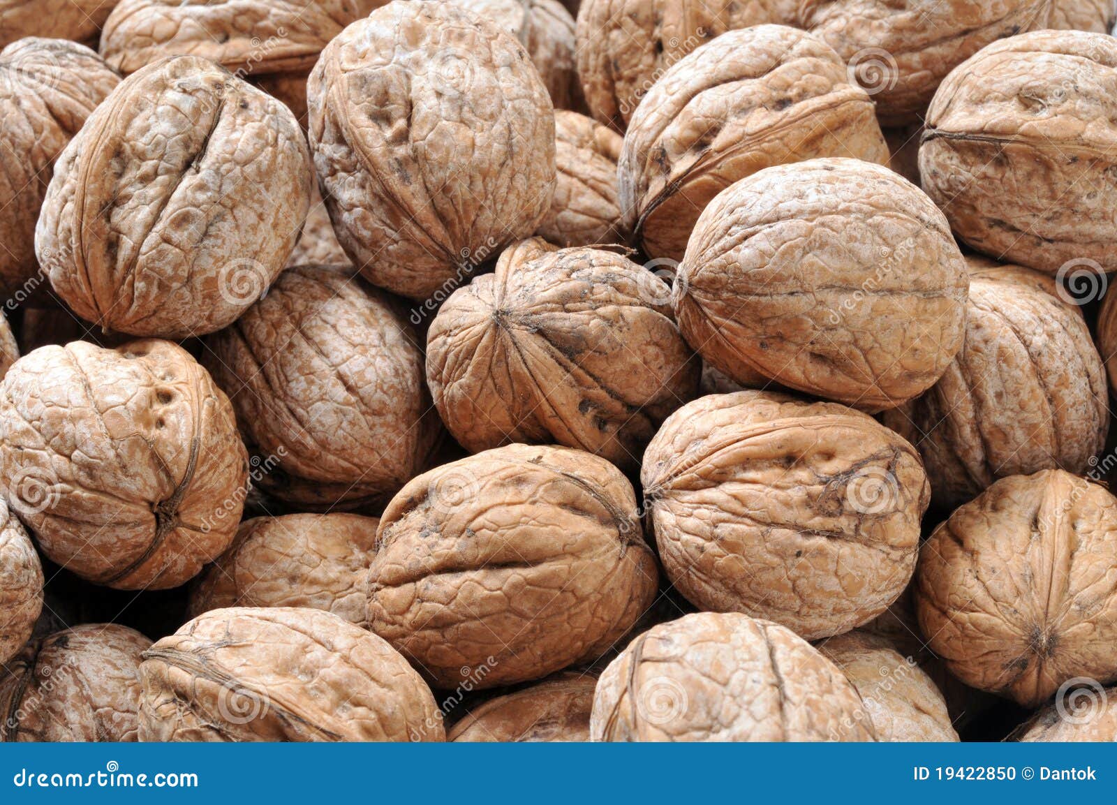 Nuts stock photo. Image of protein, tasty, nuts, dried - 19422850