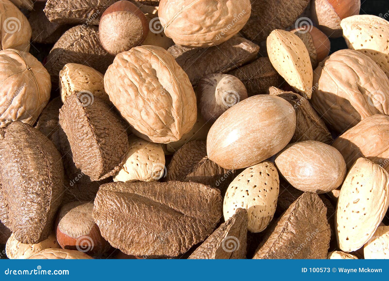 Nuts 2 stock image. Image of hazel, group, kernel, ingredient - 100573