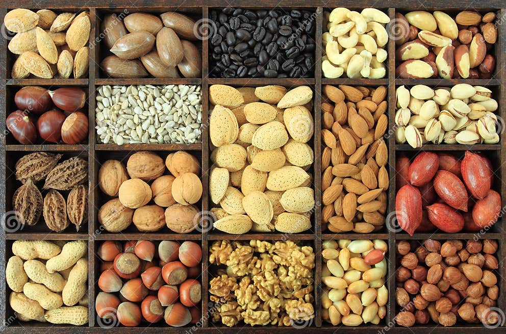 Nuts stock photo. Image of pecan, selection, almonds - 22114138