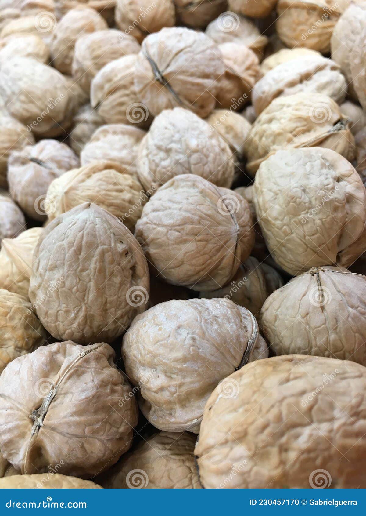 Many Raw Unprocessed Nutshells in a Close Up Stock Photo - Image of ...