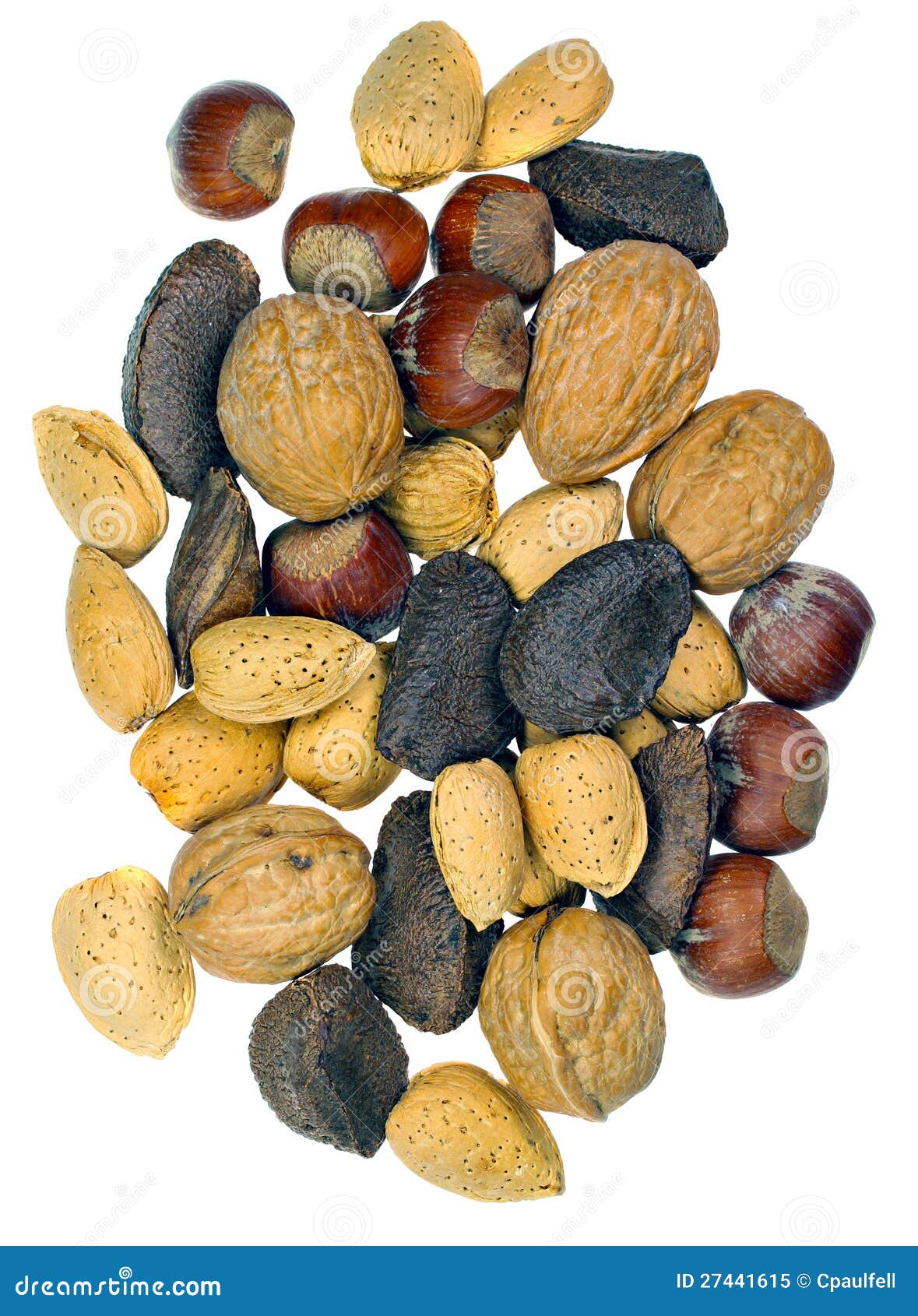 Nuts stock image. Image of isolated, nutrition, collection - 27441615