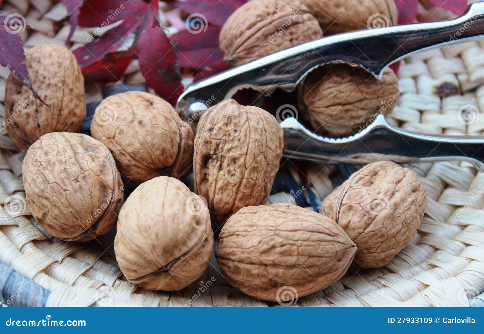 Nuts stock image. Image of assorted, autumn, still, peanuts - 27933109