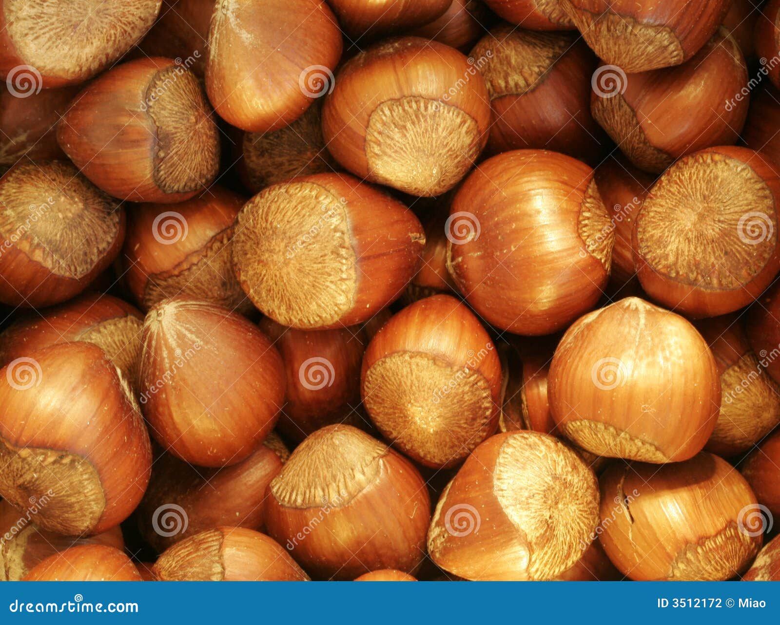 Nuts stock photo. Image of vegetarian, fall, seed, delicious - 3512172
