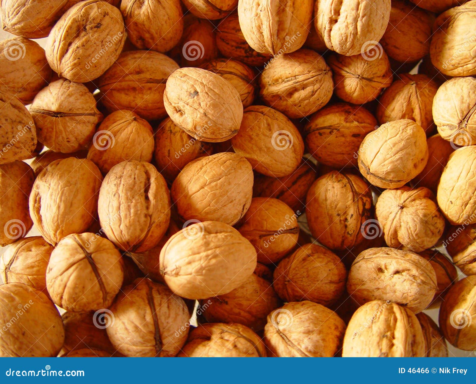 Nuts stock photo. Image of nature, nuts, health, wellness - 46466