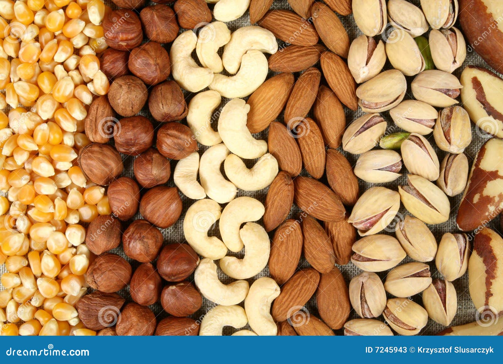 Nuts stock image. Image of texture, organic, hazelnuts - 7245943