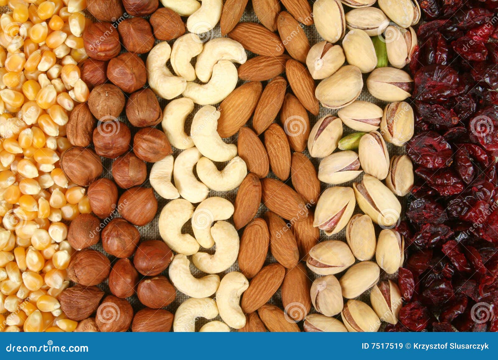 Nuts stock image. Image of corn, texture, textured, hazel - 7517519