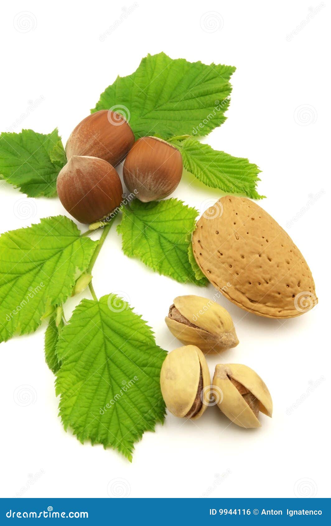 Nuts stock photo. Image of fresh, hard, fruit, healthy - 9944116
