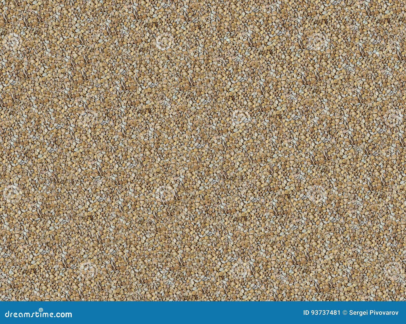 Nuts Almonds Set of Kernels Texture of Shells of Stones on the Beach ...