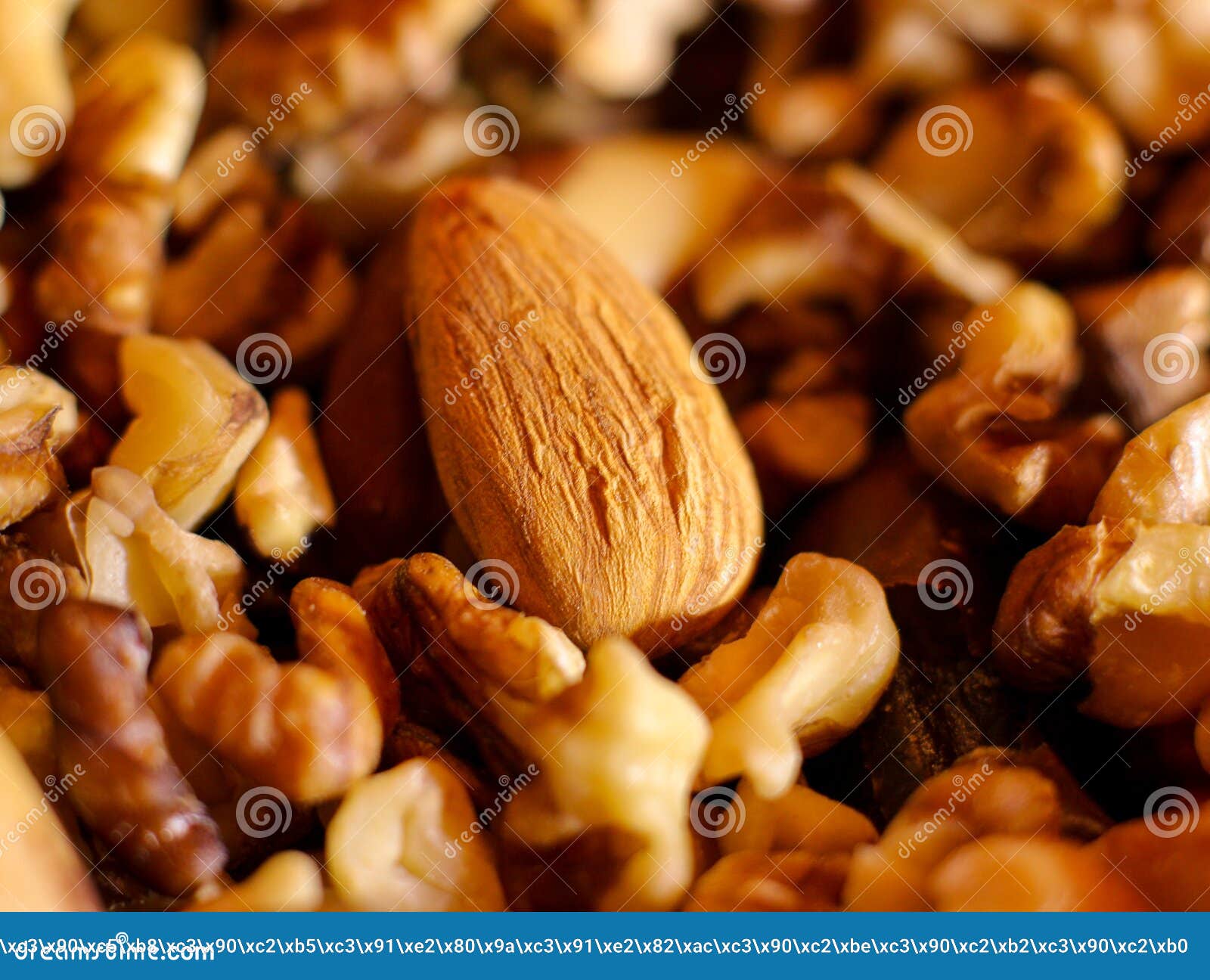 Nuts, Almonds and Walnuts, Lots of Nuts Stock Image - Image of hazelnut ...