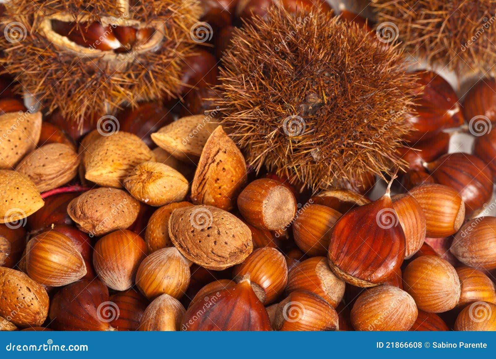 Nuts background stock photo. Image of assortment, chestnuts - 21866608