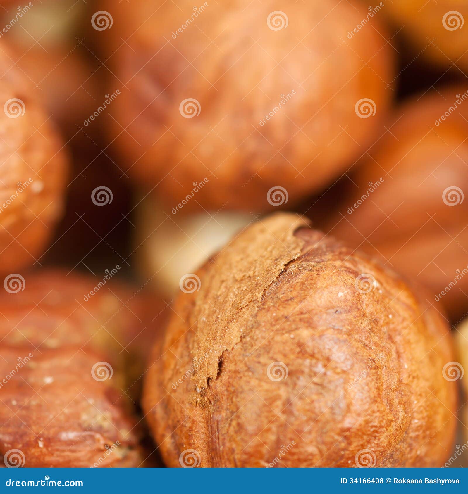 Nuts background stock photo. Image of group, fruit, assortment - 34166408