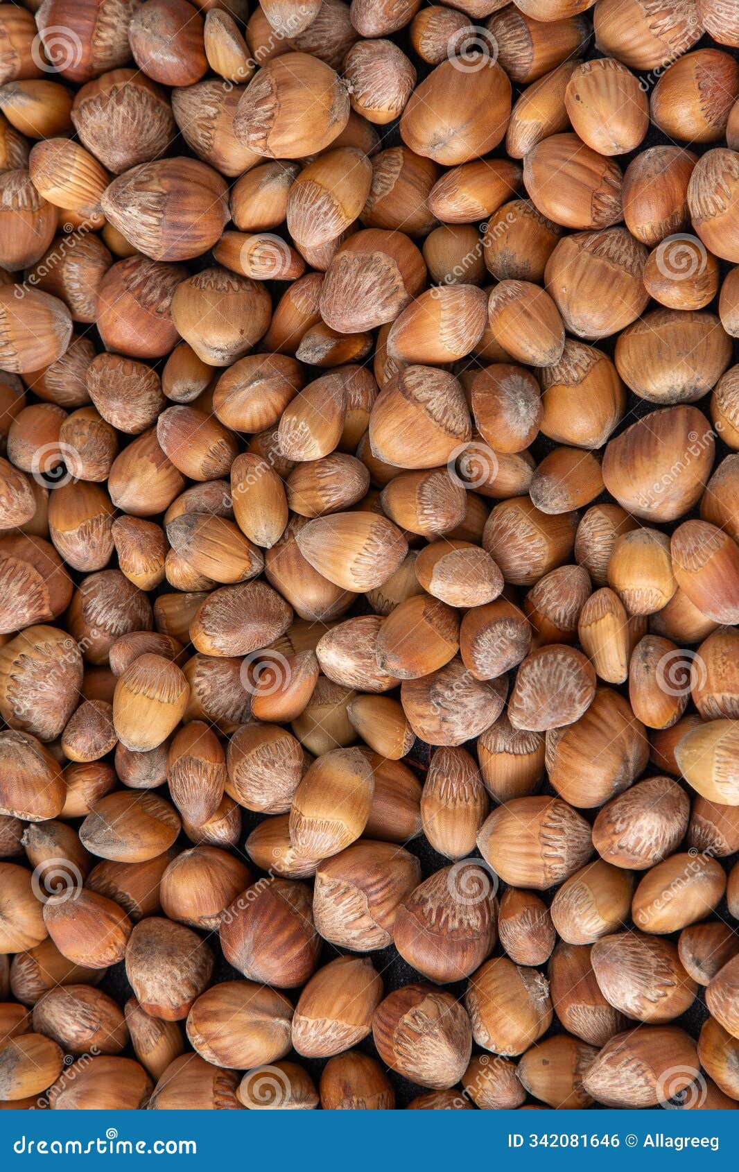 Nuts Background. Hazelnut Food Stock Photo - Image of seeds, shell ...