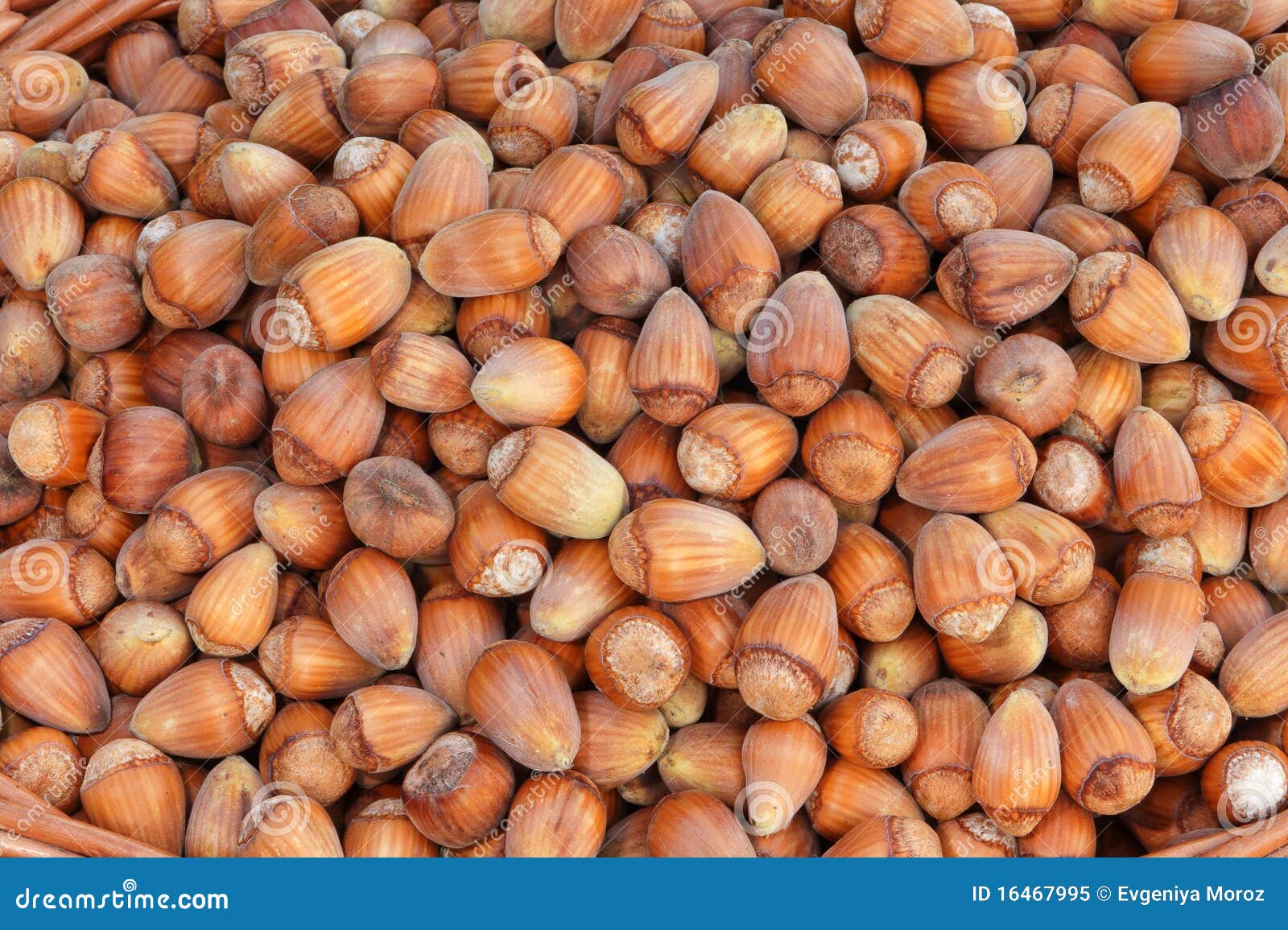 Nuts Background Stock Photo | CartoonDealer.com #46345818