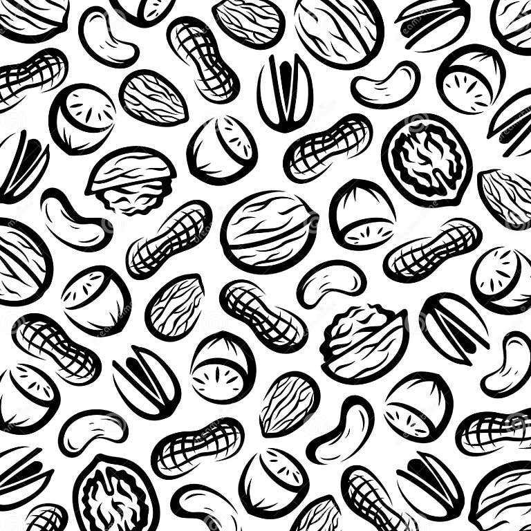 Nuts Background, Pattern Set. Collection Nuts Icons Stock Illustration - Illustration of healthy ...