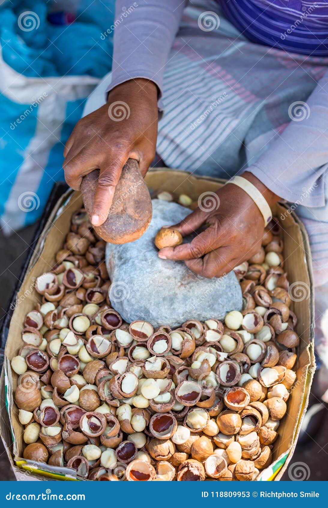 Nuts Being Cracked Open with a Rock. Stock Image - Image of food, snack ...