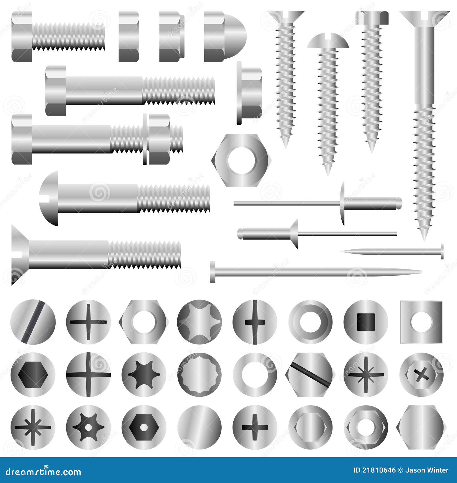 Nuts and bolts stock vector. Illustration of shiny, rivet - 21810646