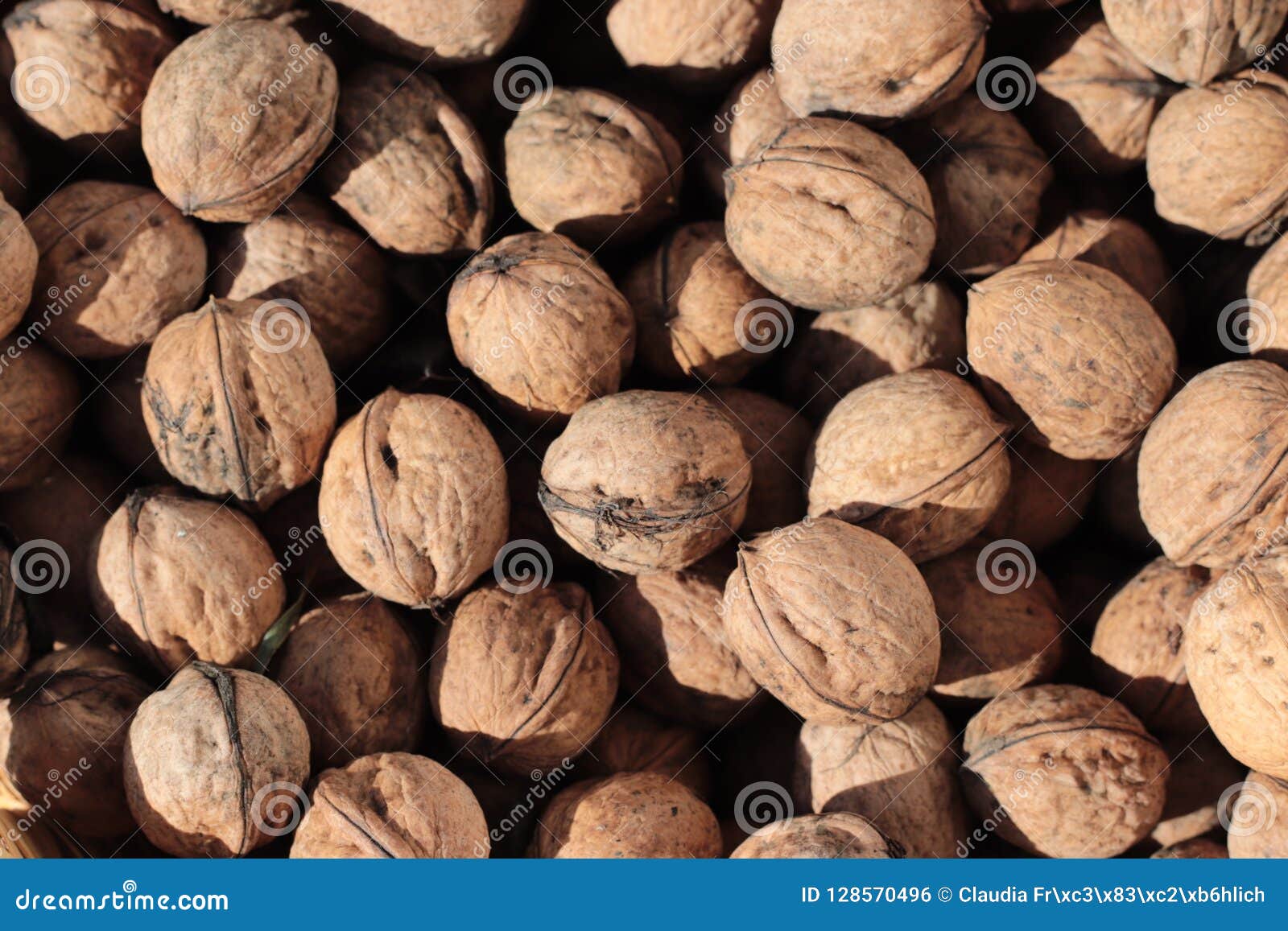 Nuts stock photo. Image of nuts, drying, brown, nature - 128570496