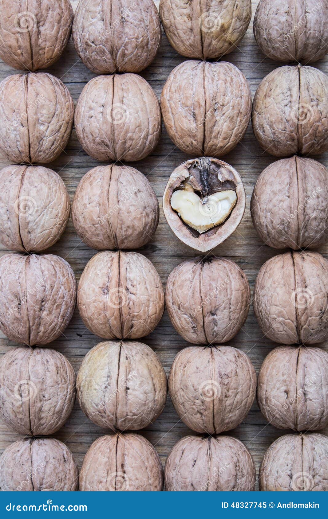 Nuts stock image. Image of nature, macro, food, fruit - 48327745