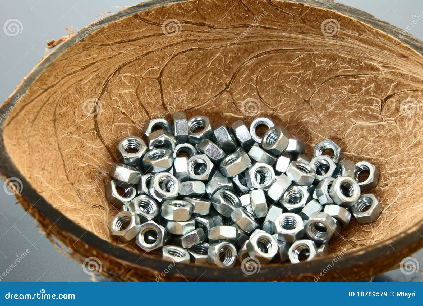 Nuts in the coconut shell stock image. Image of manufacture - 10789579