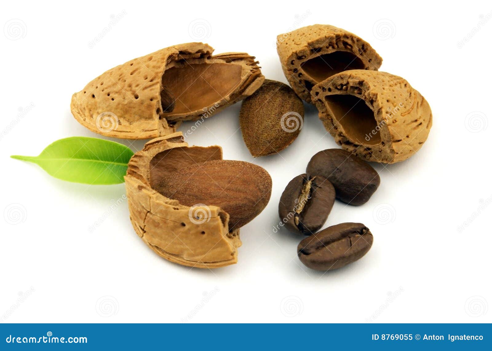 Nuts and coffee stock image. Image of brown, hard, coffee - 8769055