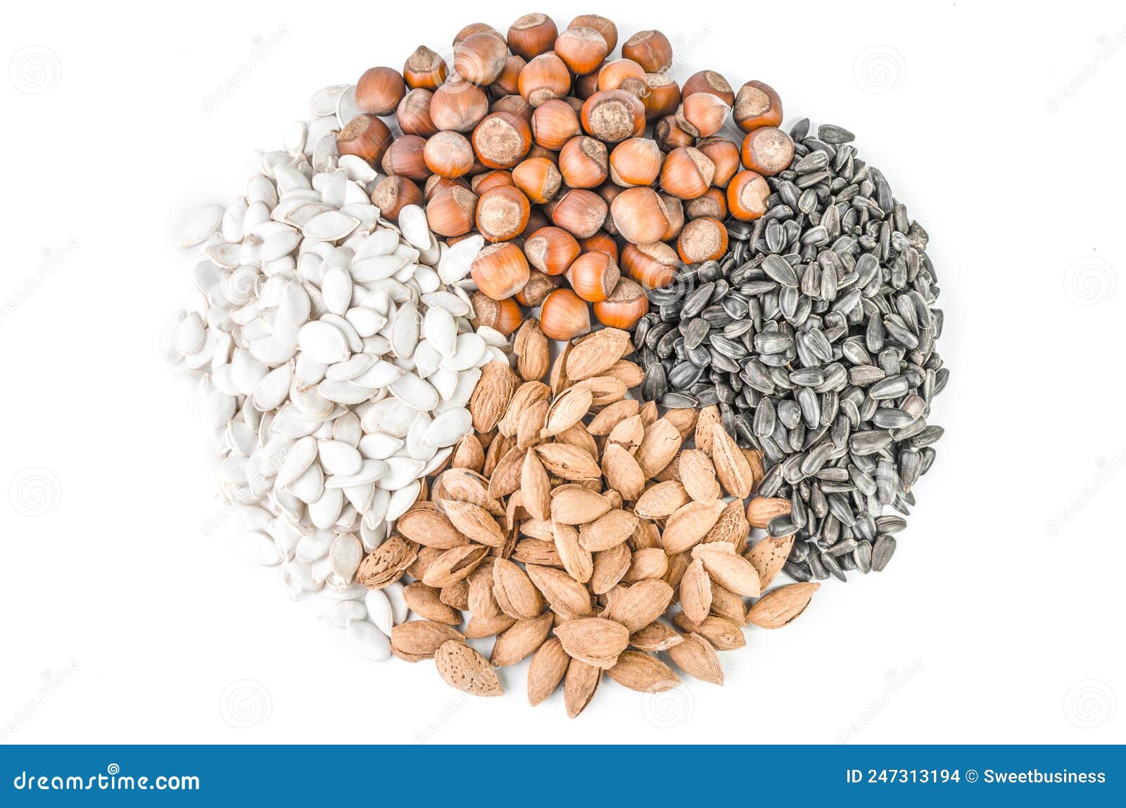 Nuts Collection Isolated on White Background Stock Photo - Image of ...