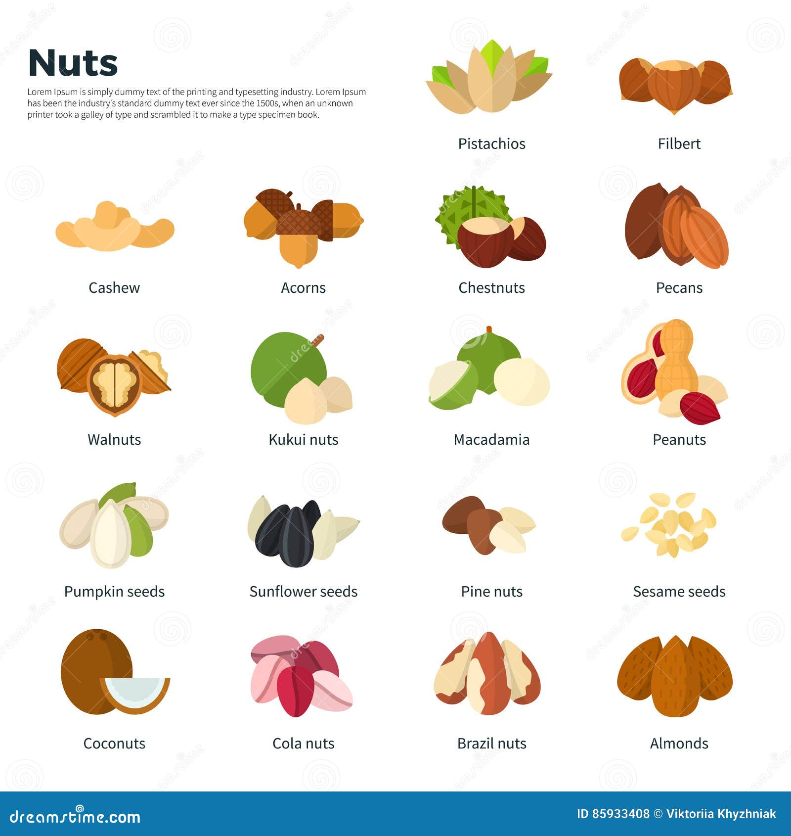 Nuts Collection Isolated on White Stock Vector - Illustration of ...