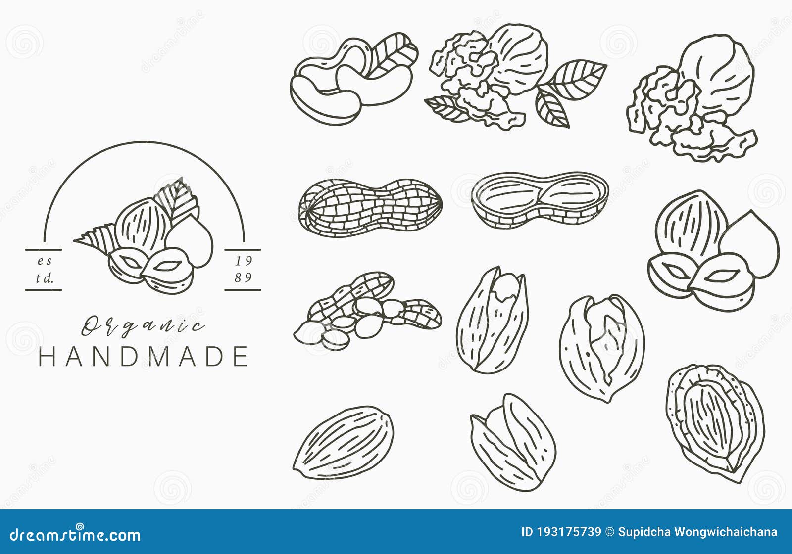 Nuts. Collection Of Vector Black And White Illustrations. Outline ...