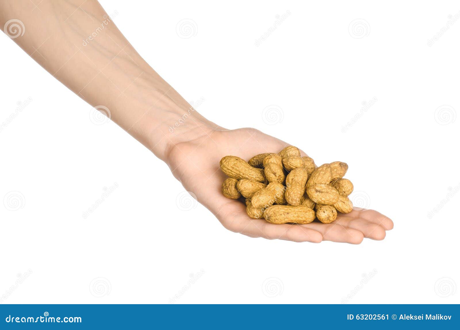 Nuts and Cooking Theme: Man S Hand Holding a Peanut in Shell Isolated ...